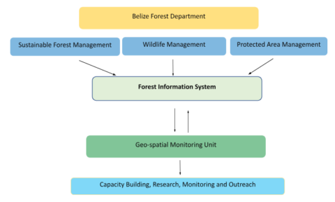 Geospatial Monitoring - Forest Department of Belize